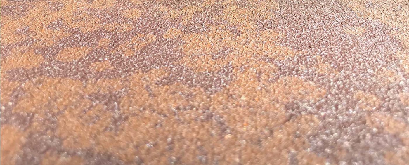 Coated Metals Group - Pre-Finished Steel Products